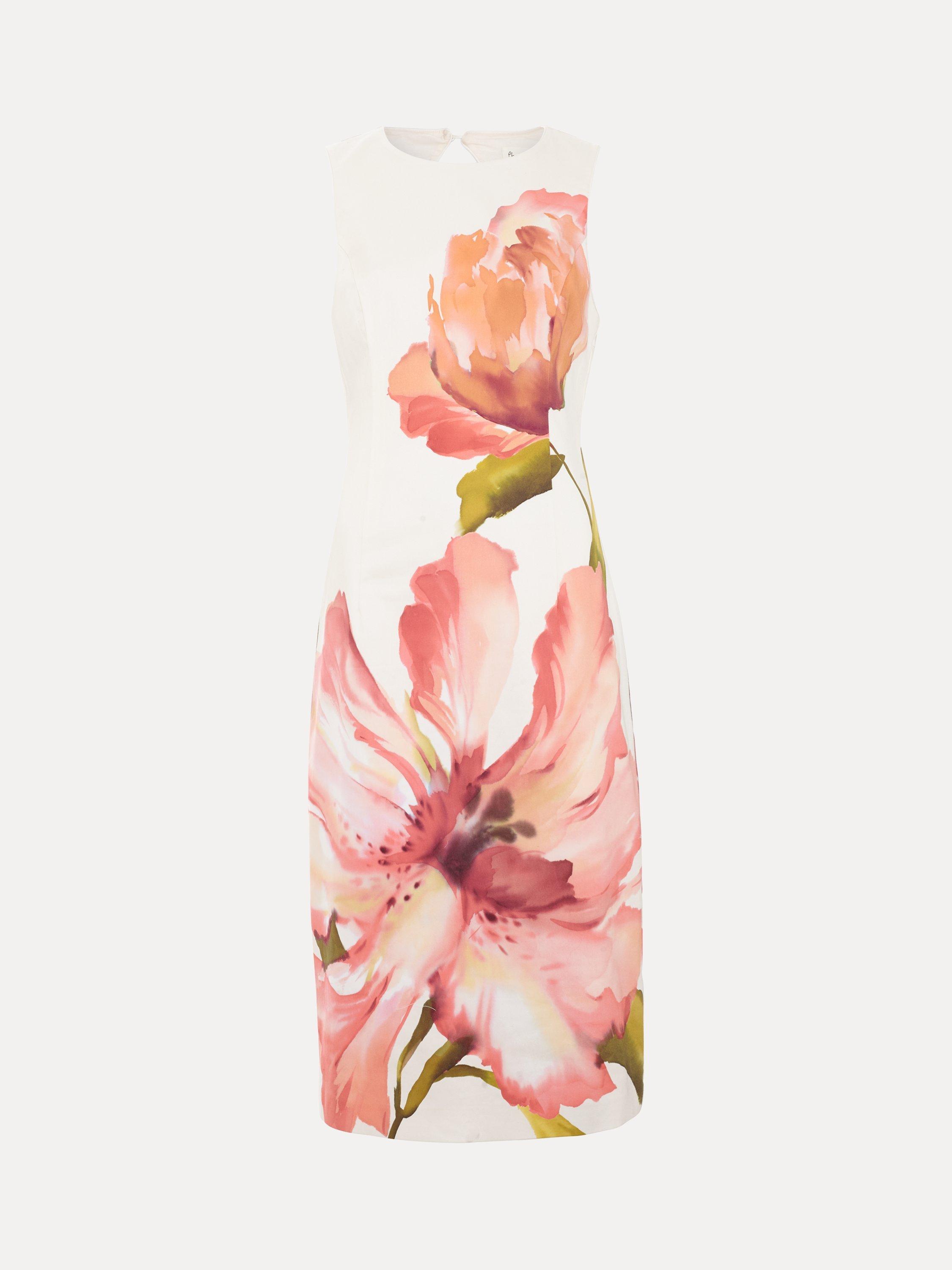 Phase Eight Nadina Floral Shift Dress, Cream/Multi, 8