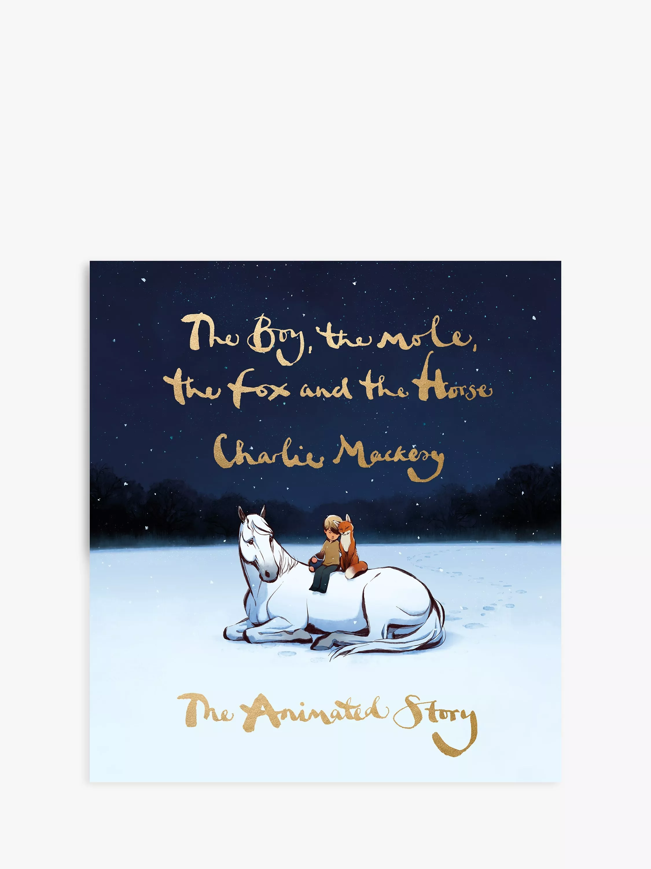 The Boy, the Mole, the Fox and the Horse Kids' Book