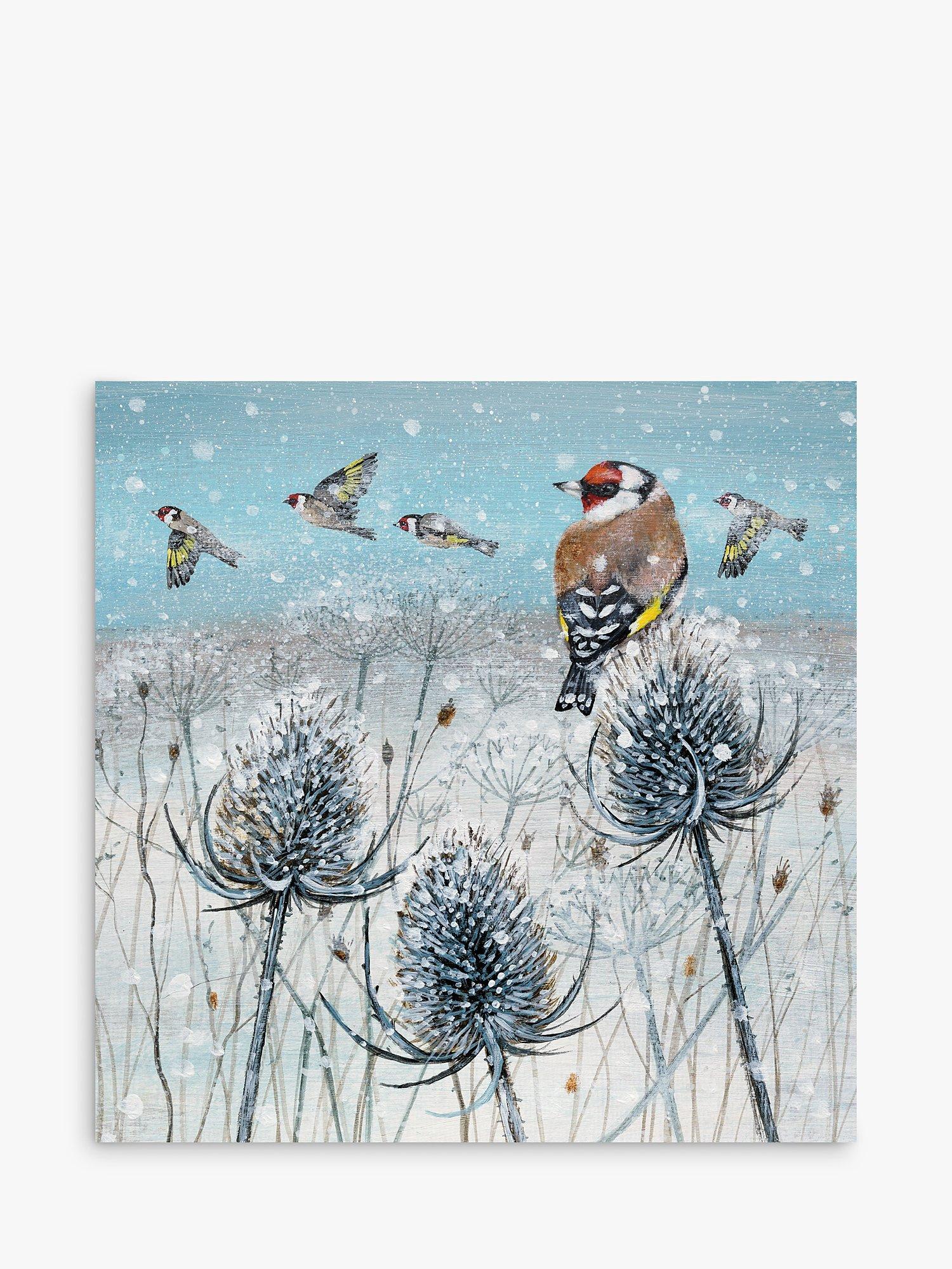 Woodmansterne RSPB Charity Christmas Cards, Pack of 20