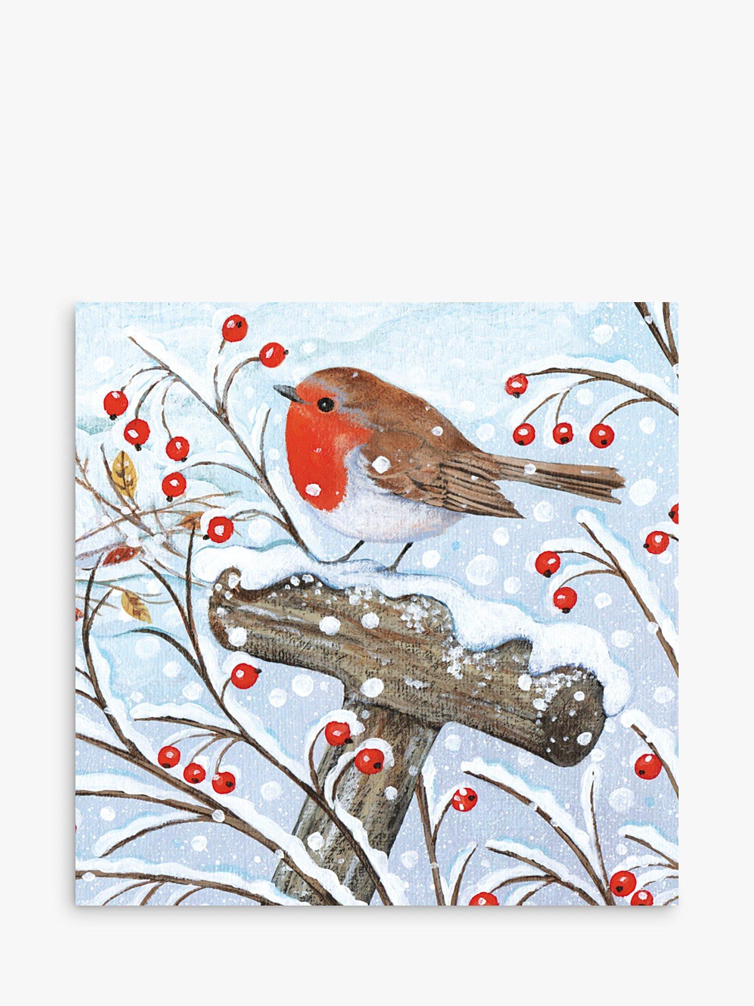Woodmansterne RSPB Charity Christmas Cards, Pack of 20
