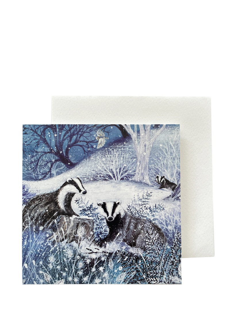 Woodmansterne RSPB Charity Christmas Cards, Pack of 20