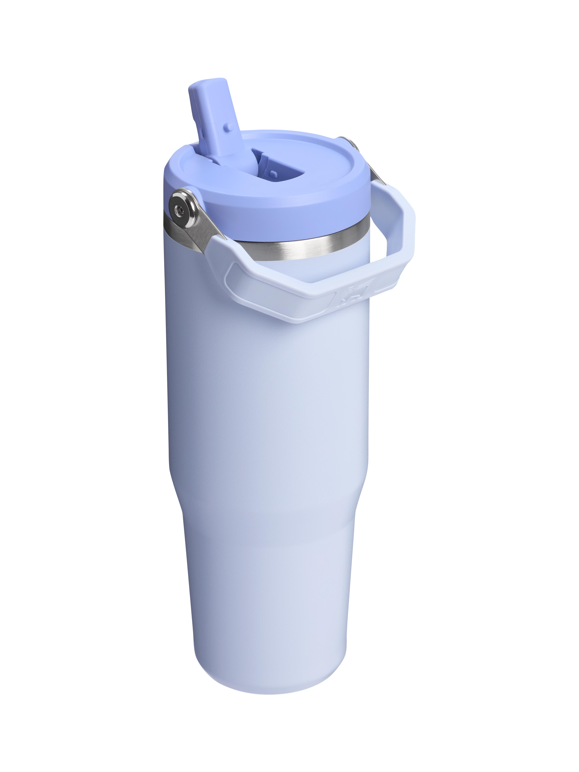 Stanley IceFlow Flip Straw Stainless Steel Leak-Proof Tumbler, 890ml ...