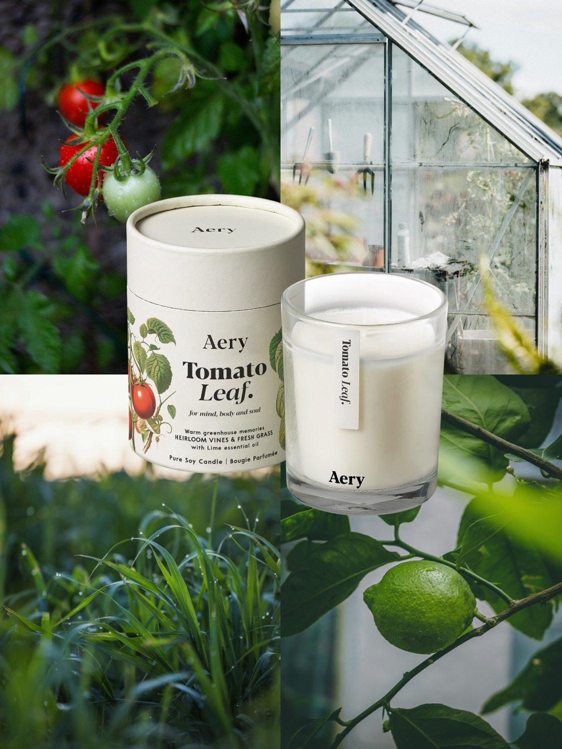 Aery Tomato Leaf Scented Candle, 200g