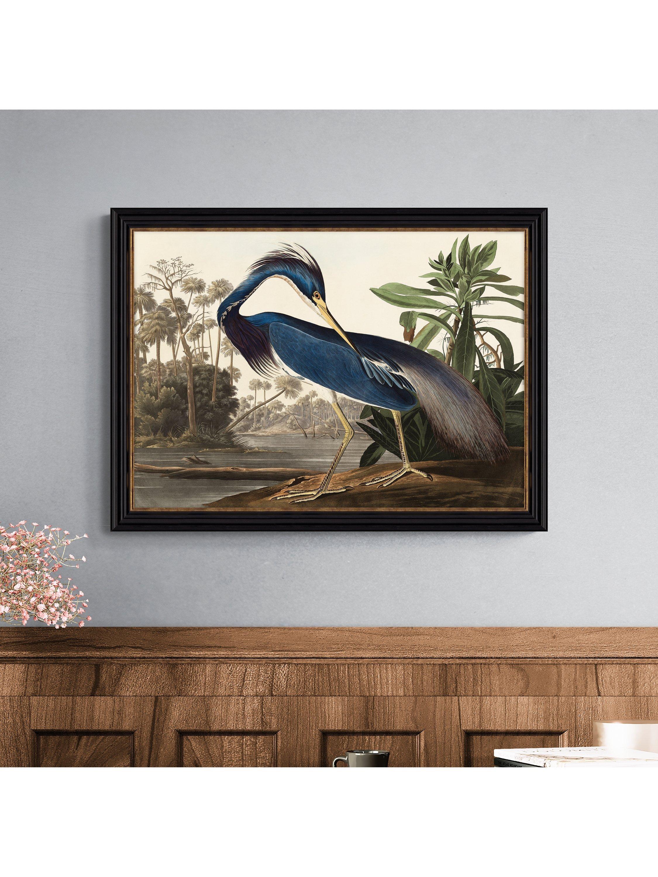 John Lewis John James Audubon 'Louisiana Heron' Framed Print, 57 x 77cm