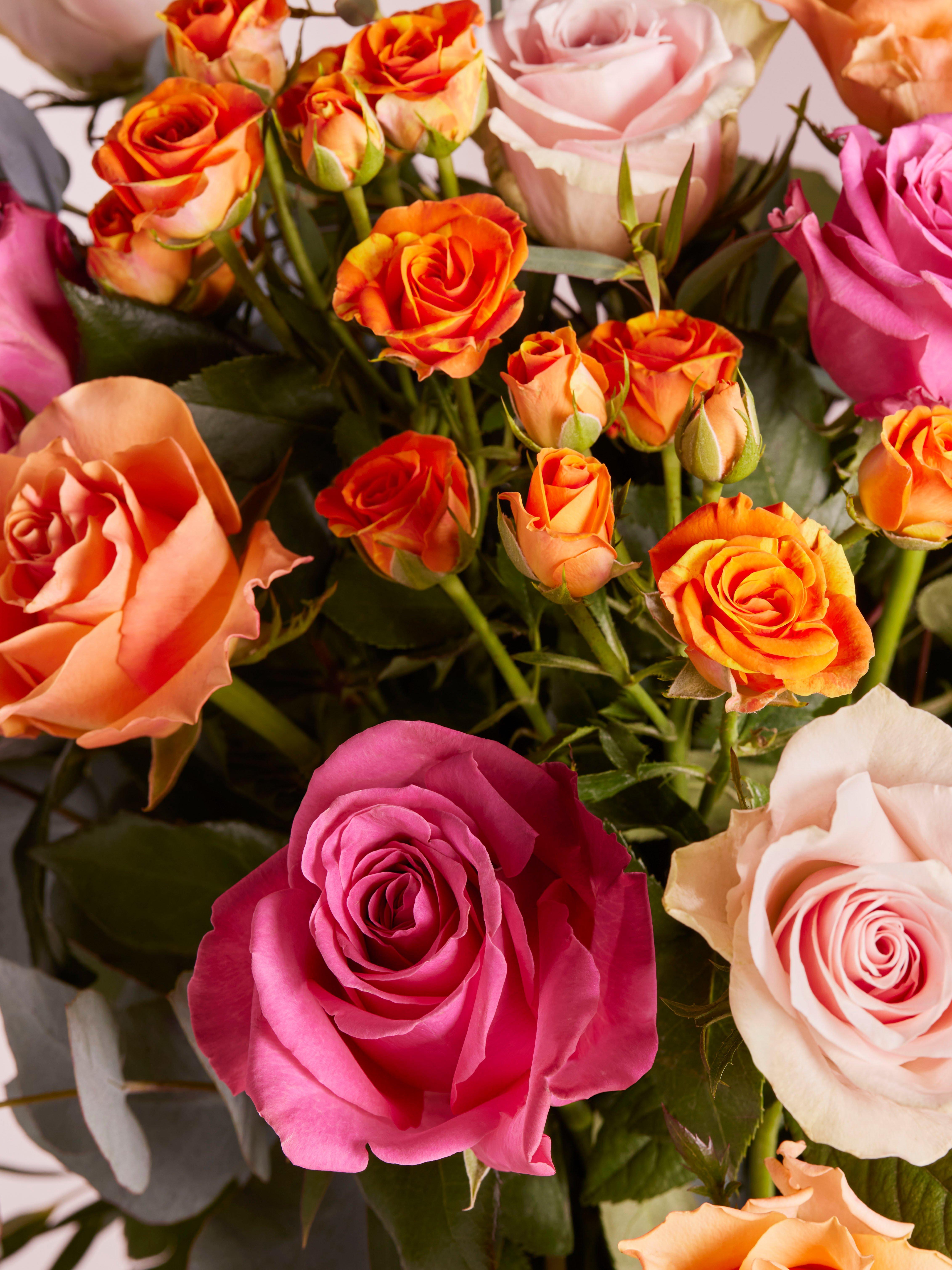 John Lewis Colourful Roses Mixed Hand Tied Bouquet