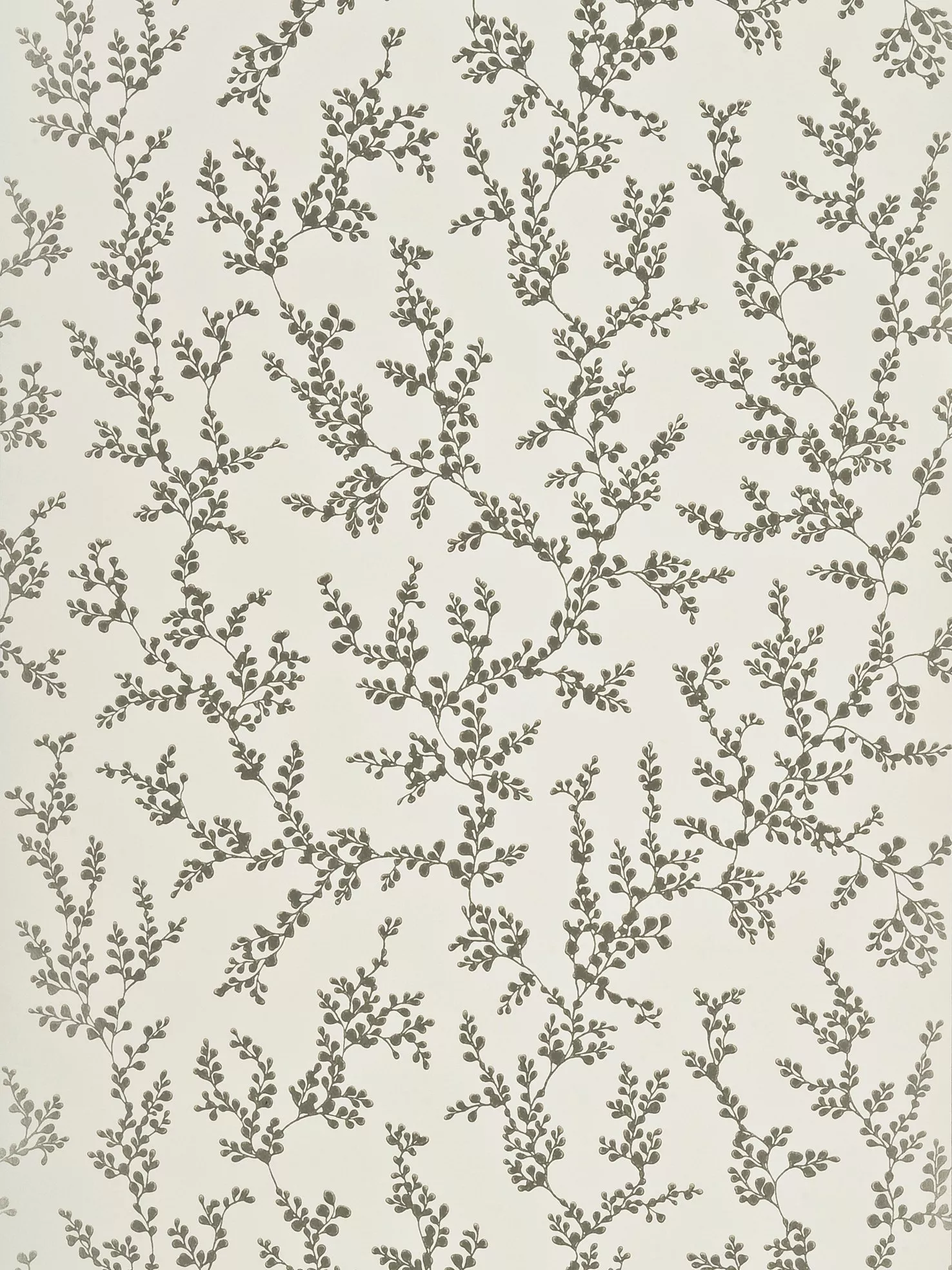 GP & J Baker Shadow Fern Wallpaper