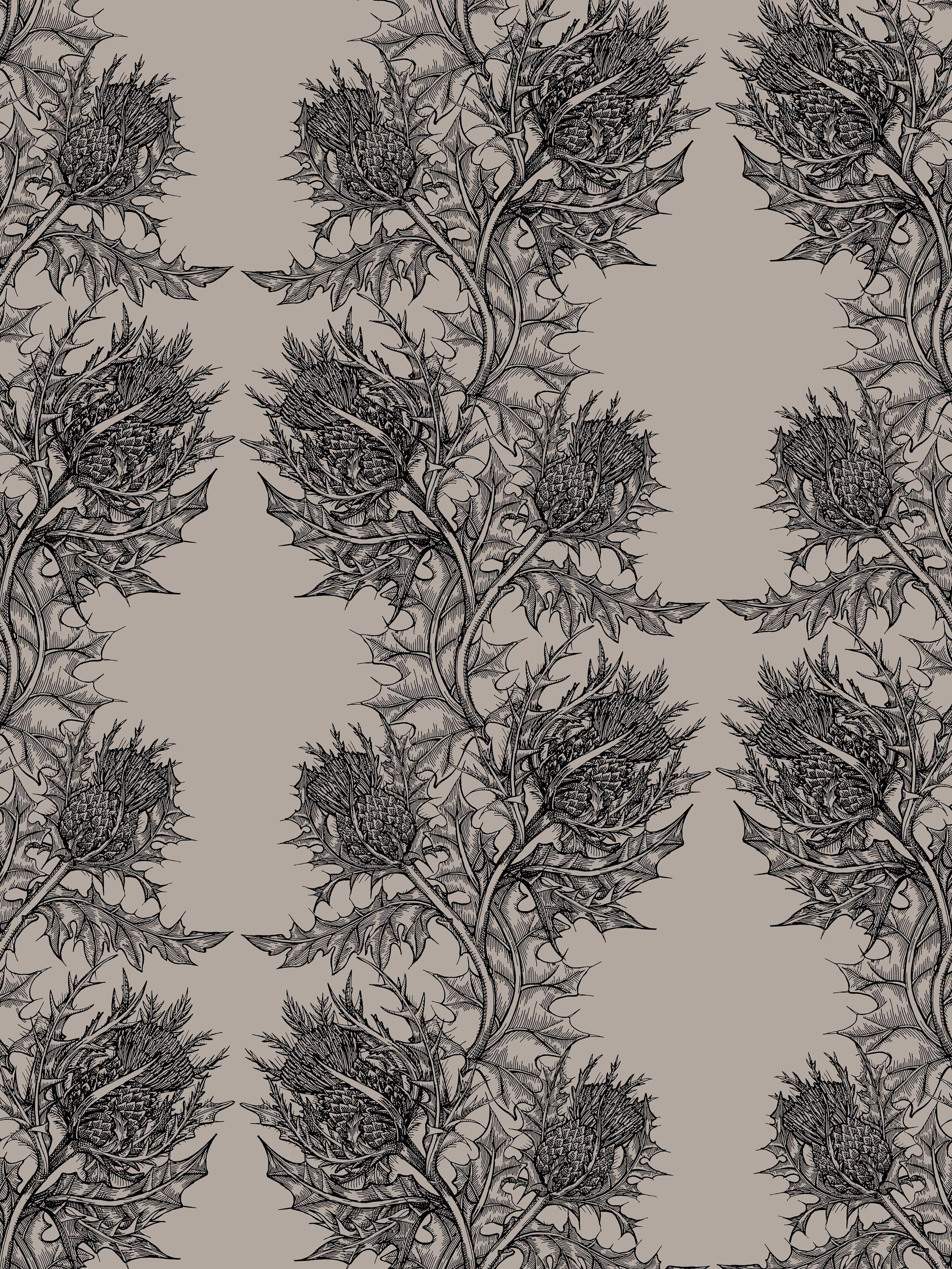 Timorous Beasties Thistle Wallpaper, Black / Stone