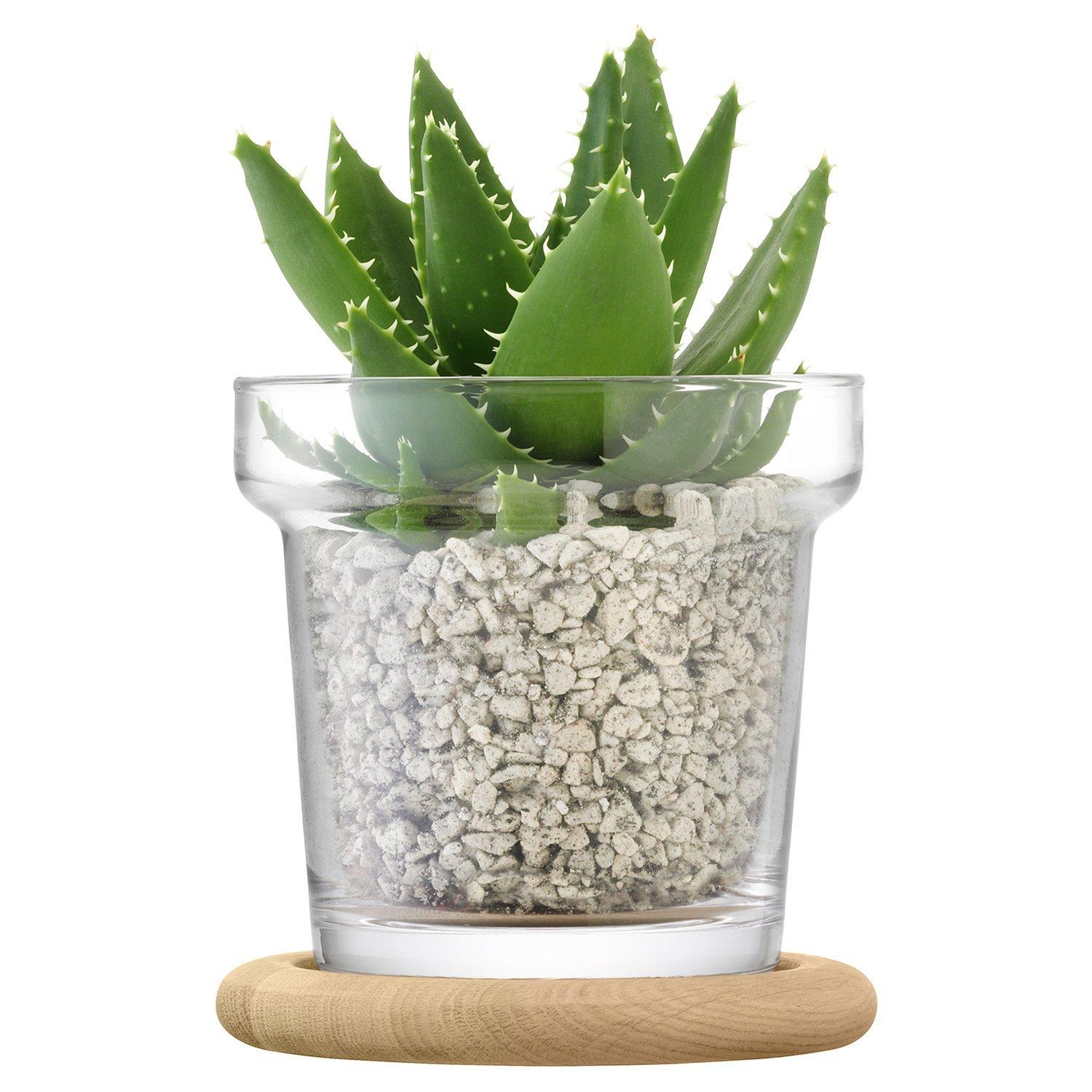 LSA International Plant Pot & Base, H16.5cm