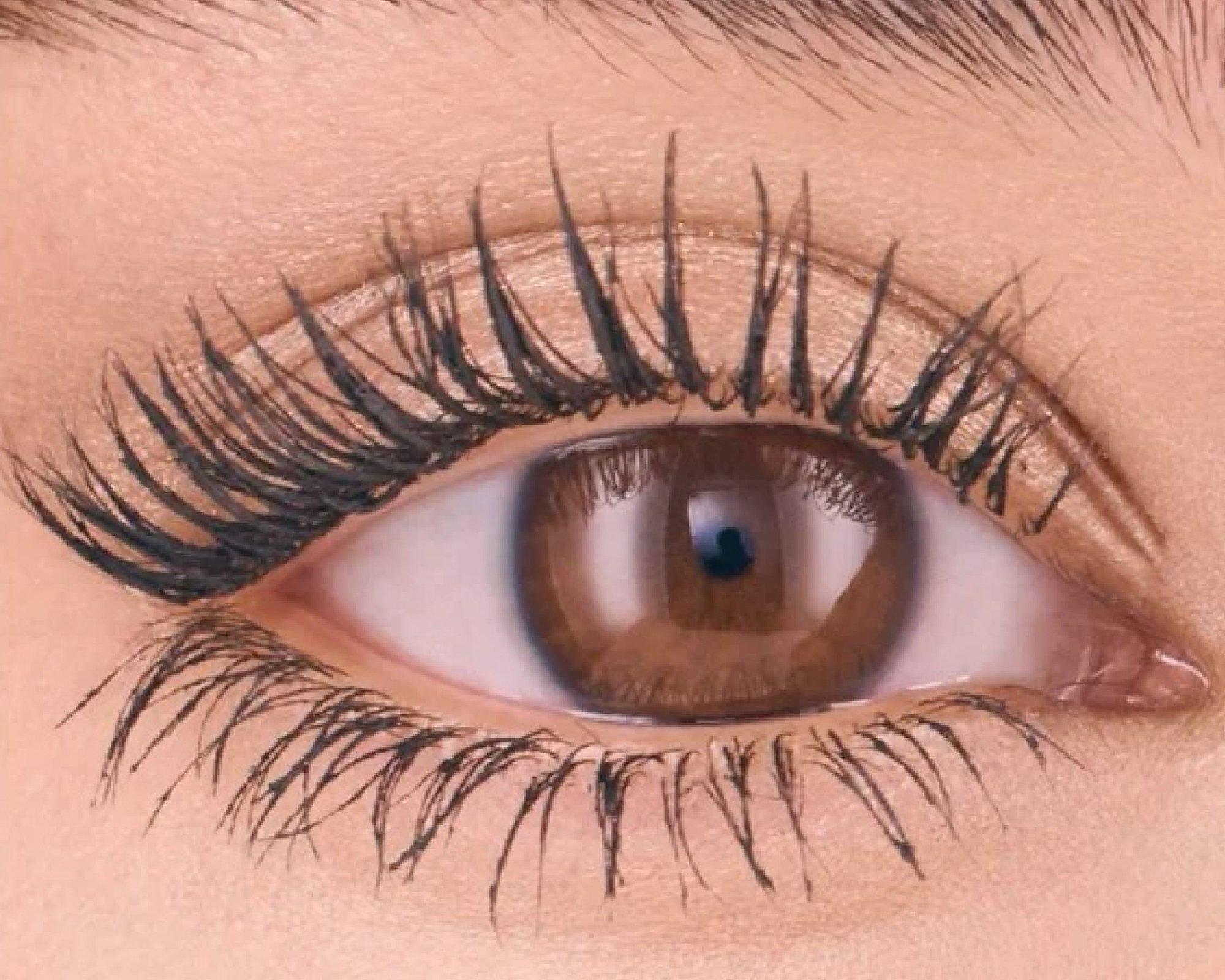 Buying guide what s the best ever mascara