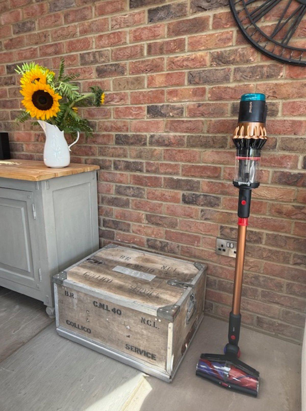 On trial: Dyson’s V16 Piston Animal Submarine™ Cordless Vacuum | John ...