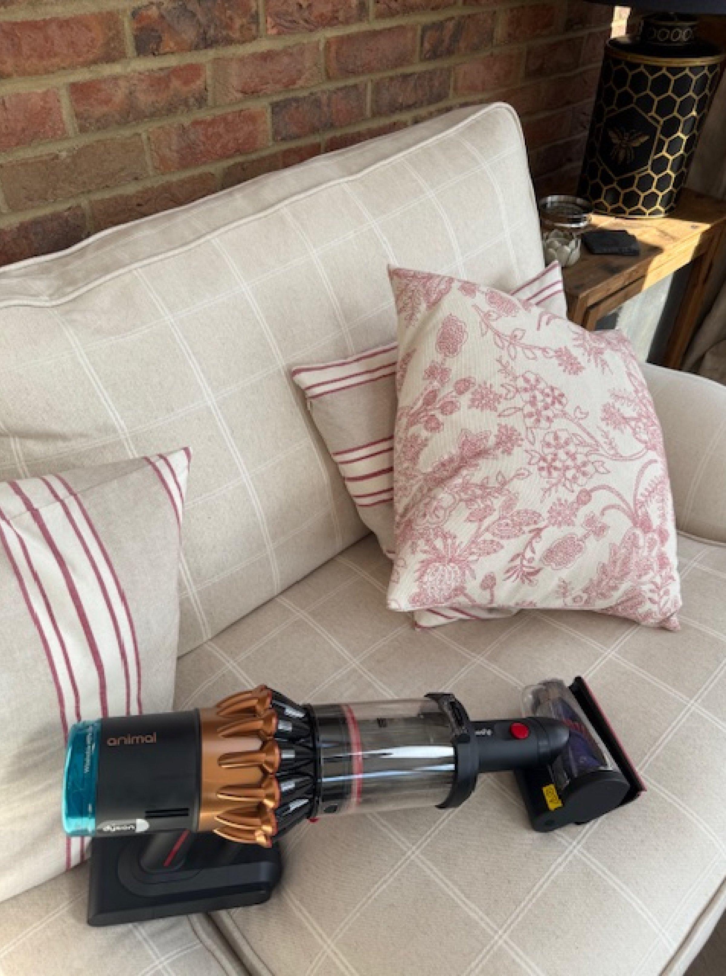 On trial: Dyson’s V16 Piston Animal Submarine™ Cordless Vacuum | John ...